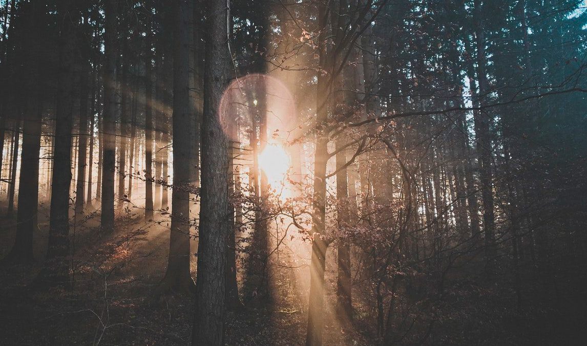 Overcoming Rituals of OCD – Mind@Work